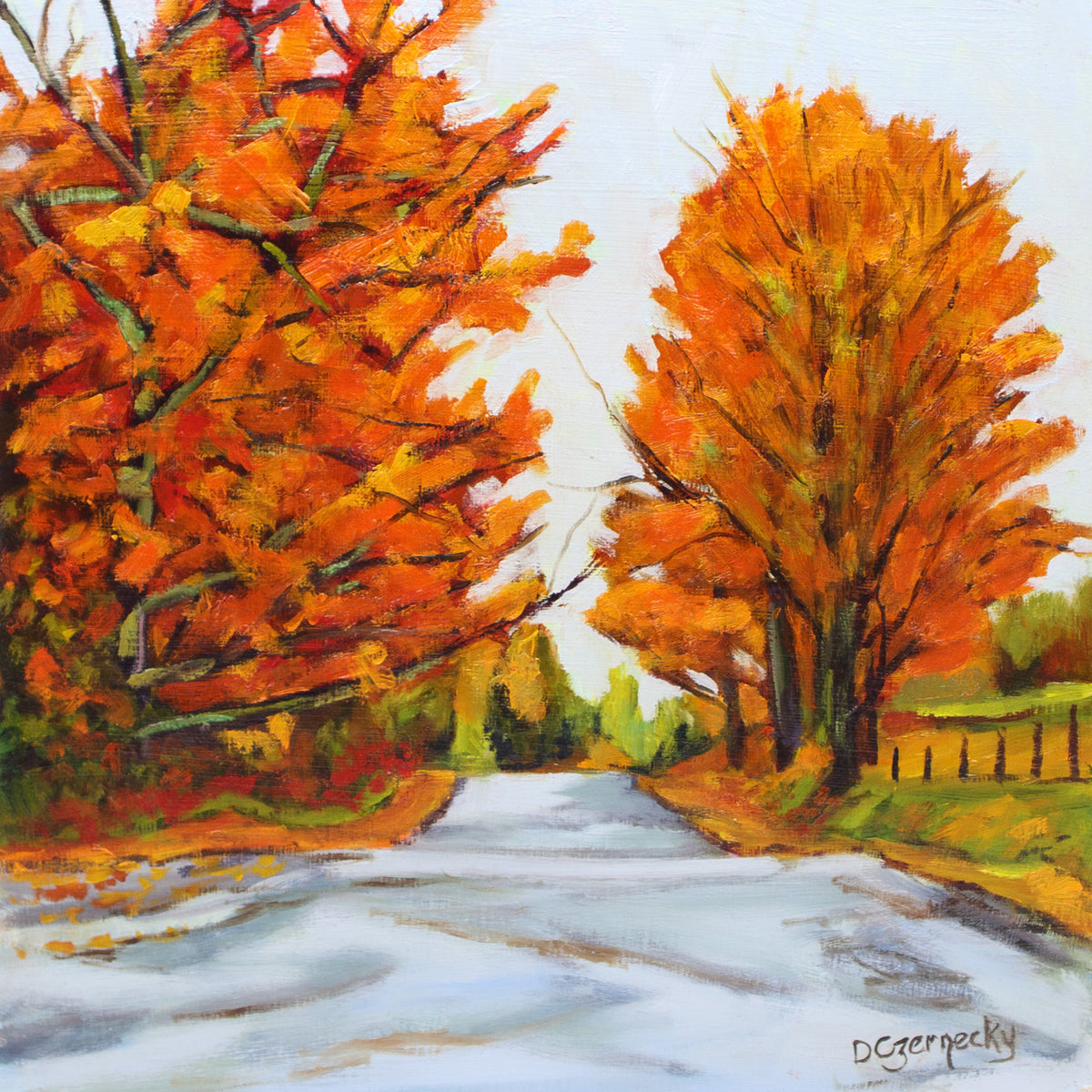 Fall Orange – South Shore Gallery