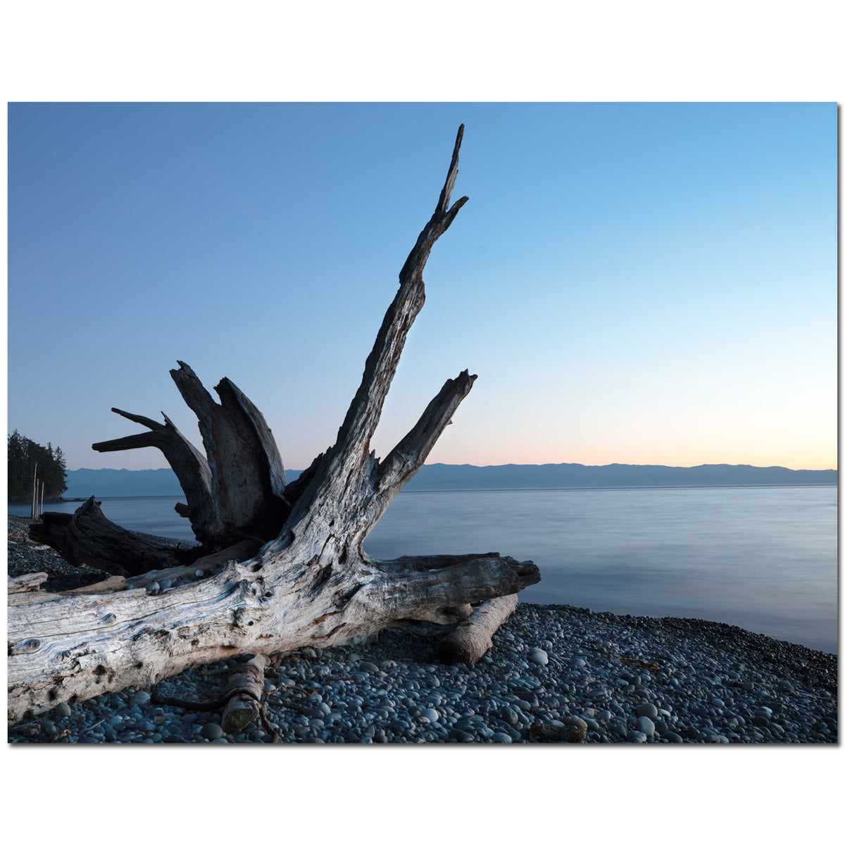 Lingering – South Shore Gallery